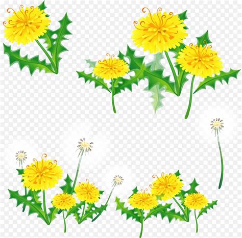 蒲公英 绘画 音乐png图片素材下载图片编号6807808 Png素材网