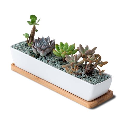 Langer Rechteckiger Keramik Topf 27x6cm Mit Bambusuntersetzer Für