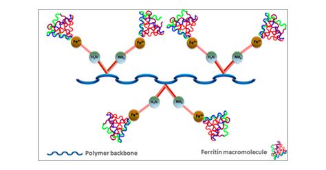 Polyfluorene Based Bioconjugates For Selective Detection Of Ferritin In