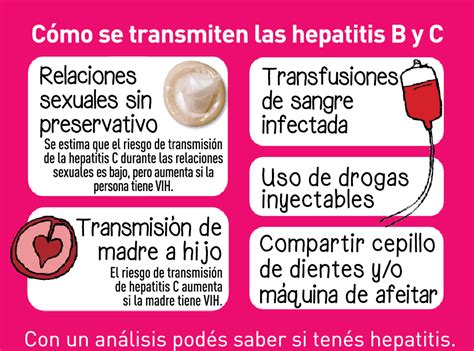 Se Puede Contraer Hepatitis Por Tocar Algo
