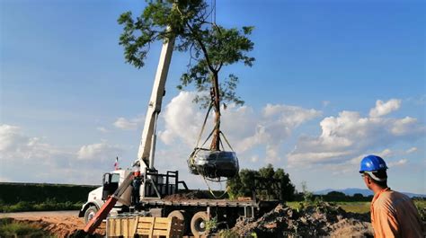 Gestión Ambiental En México Grupo Mundo Verde