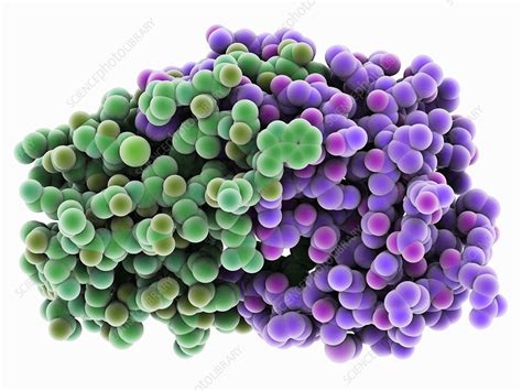 Hiv 1 Protease Molecule Stock Image C0142839 Science Photo Library