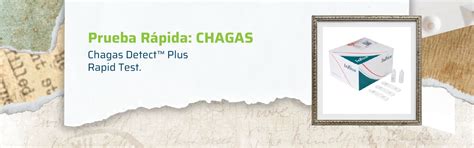 Icosan Internacional