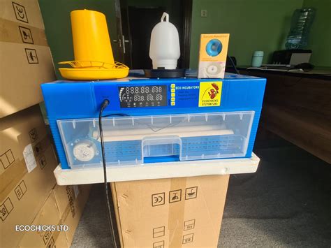 Acdc Solar Incubators Egg Incubator Kenya