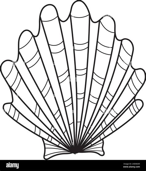 Seashell Vector Illustration Hand Drawn Linear Sketch Of Sea Shell
