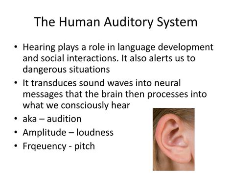 Ppt Ap Psychology Powerpoint Presentation Free Download Id 2017399