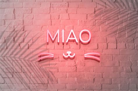 CHIN MIAO/ресторан паназиатской кухни on Behance