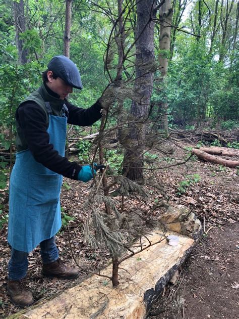 Reaseheath Forest College Reaseheath College