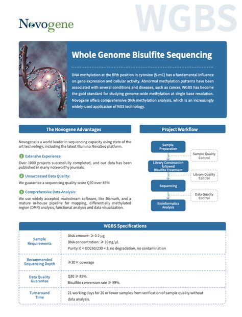 Whole Genome Bisulfite Sequencing Novogene