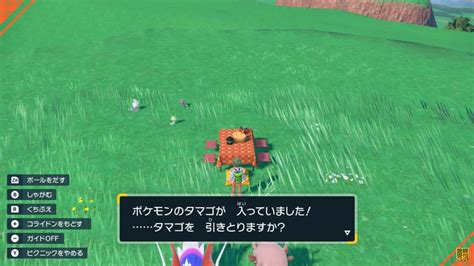 【悲報】ポケモンsvではピクニックでタマゴを作れる金銀から続いた育て屋に終止符 │ 黒白ニュース