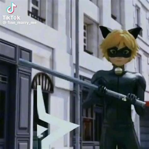 Kara Kedi💗💗💗 Chat Noir Miraculous Miraculous Ladybug