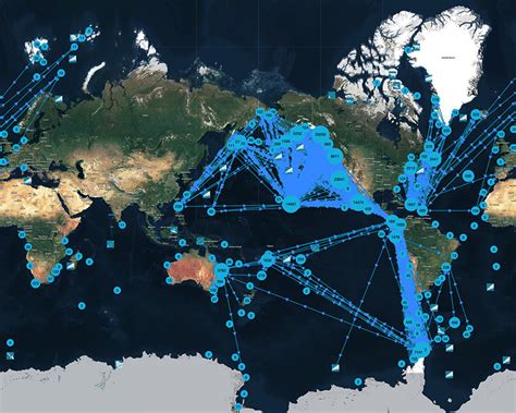 Two Humpback Whales In Kona Waters Instantly Identified Using App With