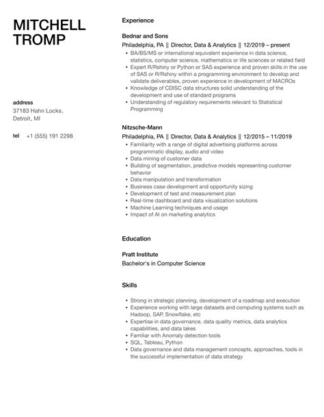Director Data And Analytics Resume Samples Velvet Jobs