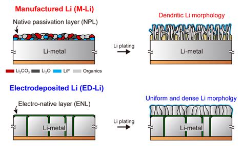 Dgist Significant Improvement In Battery Life Through Lithium Cathode Created By Electroplating