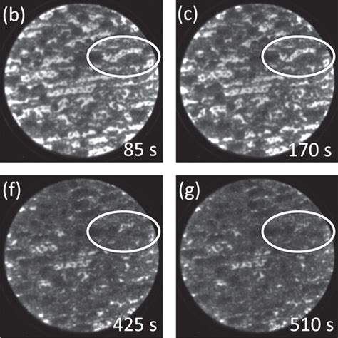 Series Of Uv Peem Images 38 μm Field Of View Recorded During Co
