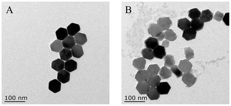 Rapid Pathogenic Bacterium Detection Method Based On High Sensitivity