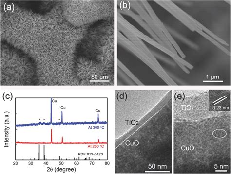 Morphological And Structural Characterization Of R‐cuo Nanowire Arrays Download Scientific