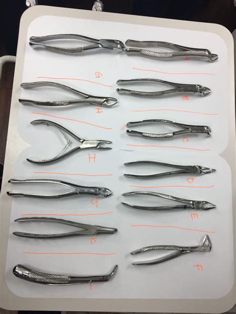 Dental Assistant Surgical Instruments Zahnarzthelferin Zähne Arzt