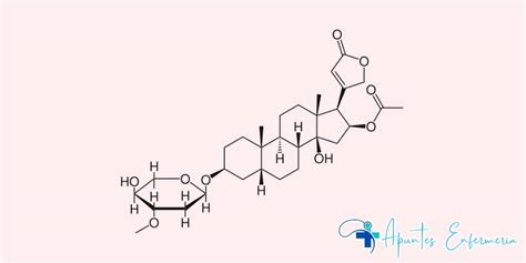 Digoxina Consideraciones De Enfermería Y Manejo 【2024】