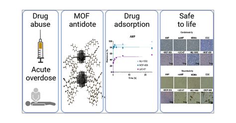 Crystal Clear Metalorganic Frameworks Pioneering The Path To Future Drug Detox Acs Applied