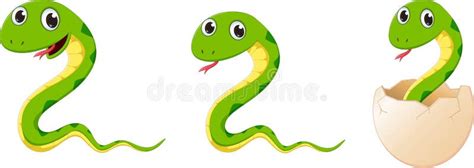 Egg Python Stock Illustrations 133 Egg Python Stock Illustrations