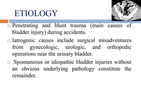 Bladder Traumappt
