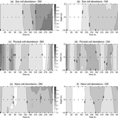 Evolution Of Synechococcus Mean Cell Abundance Cells Ml − 1 In Download Scientific Diagram