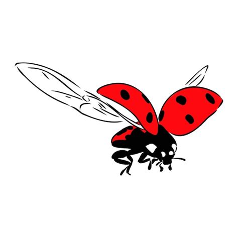 Premium Vector Hand Drawn Ink Sketch Of Ladybug Ladybug Vector Sketch
