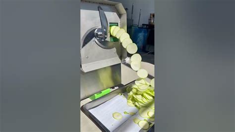 Vegetable Cutting Youtube