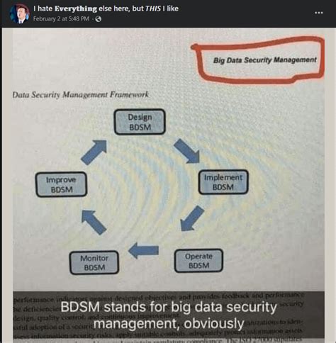 title loves such bdsm s r programmerhumor