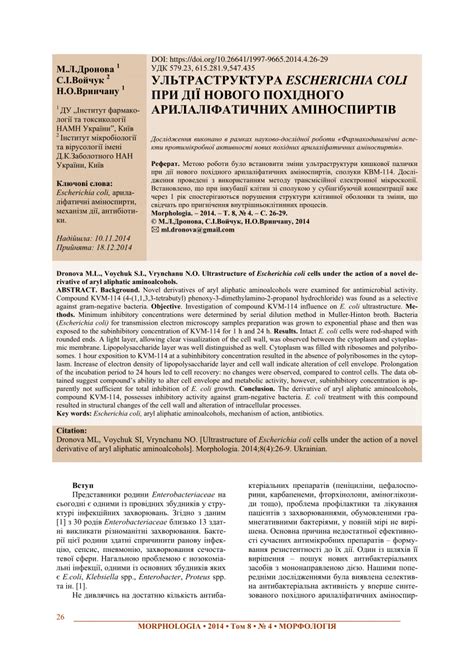 Pdf Ultrastructure Of Escherichia Coli Cells Under The Action Of A