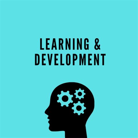 Dummies 101 Part 2 Learning And Development
