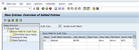 Audit Management Value Text For Audit Object Sap Community