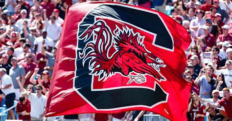 Gamecock Nation Erupt From Praise To Criticism What Everyones Saying