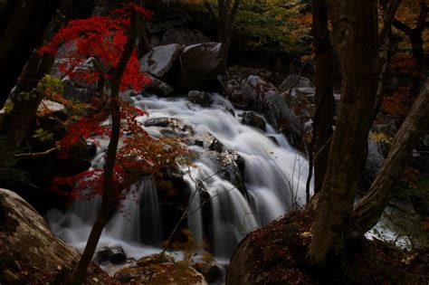 錦秋の山鶏滝渓谷（山鶏滝）編』東白川・石川福島県の旅行記・ブログ By J Ryuさん【フォートラベル】