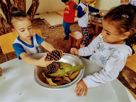 Crianças Da Chácara Creche Desenvolvem Atividade Com Elementos Da