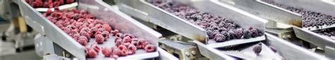 Food Processing Pest Control Smithereen