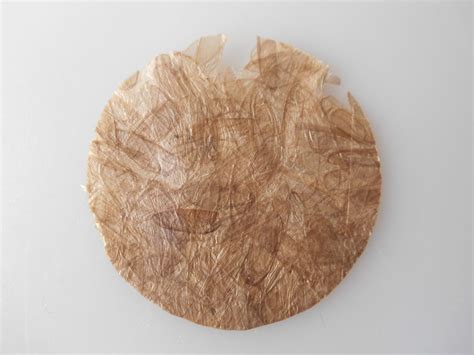 Bioplastic Made Of Pressed Insect Shells Next Nature