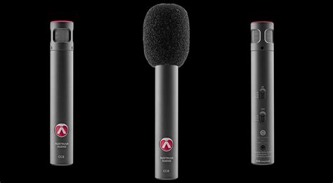 Edge Note Small Diaphragm Condenser Mic
