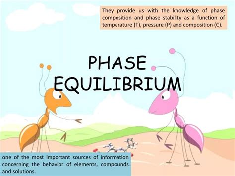 Ppt Phase Equilibrium Powerpoint Presentation Free Download Id6571055