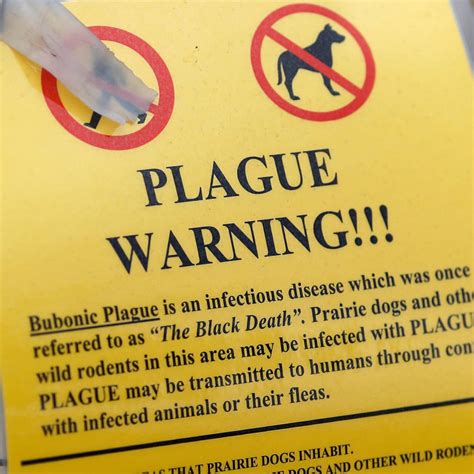 Léarscáil Bubonic Plague áise Plague Doctor Pestilence Contagion