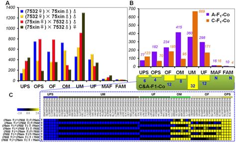 Gene Expression Patterns Clustered By Hybrid Combination A Download Scientific Diagram