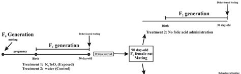 Experimental Design Of The Intergenerational Effect Of Te In Maturing Download Scientific