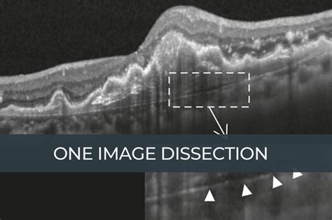 Home Ric2025 Ric2025