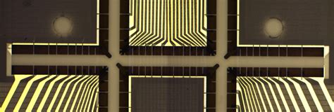 Top View Of One Of The Trapping Wafers Showing All The Dc Electrode Download Scientific