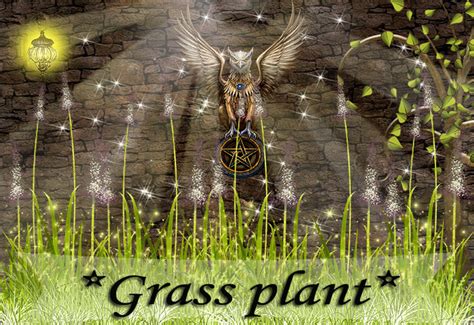 Second Life Marketplace Grass Plants