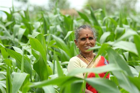 Addressing The Gender Gaps In Agriculture To Improve Productivity Global Agricultural