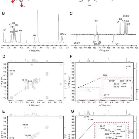 Structure Elucidation Of Rosmarinic Acid Ra By 2d Nmr Spectroscopy Download Scientific