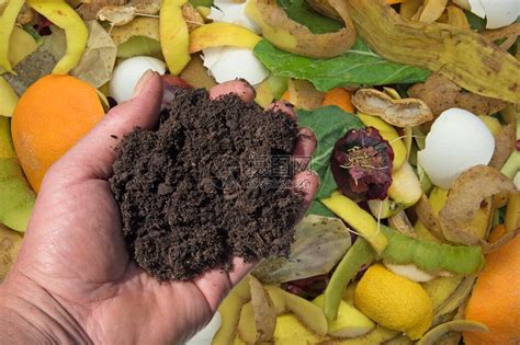处理表土和生物废高清图片下载 正版图片503992813 摄图网