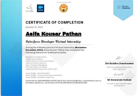 Pathan Asifa Kousar On Linkedin Smartinternz Salesforce Aicte Virtualinternship